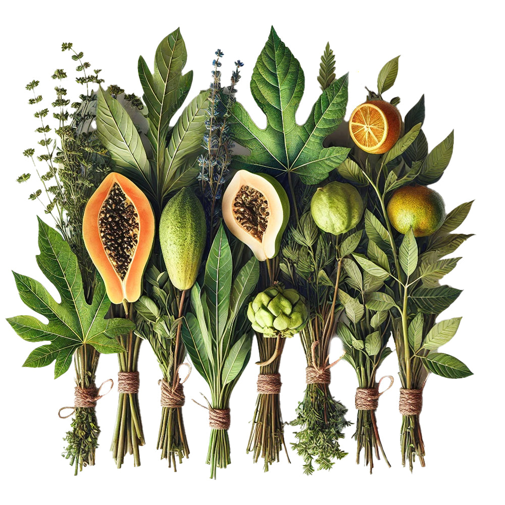 SWEET HERBS – Page 2 – vickygardens